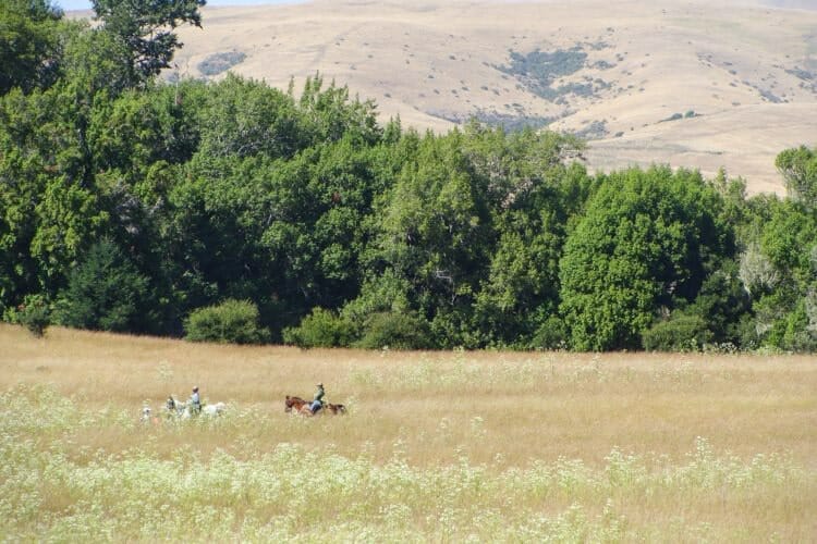 22 Top Fall Destinations In California - Small World This Is