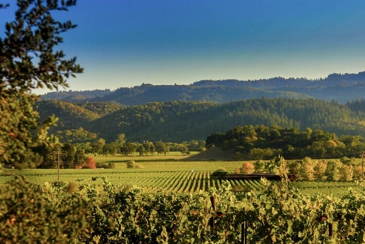 22 Top Fall Destinations In California - Small World This Is