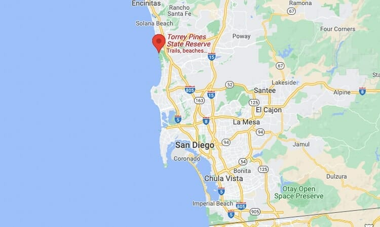 The Best Torrey Pines Hikes - Small World This Is